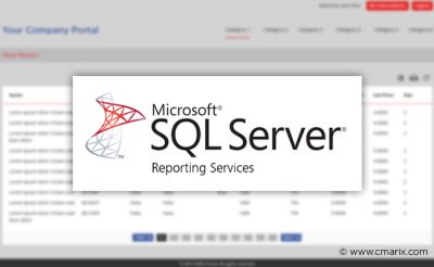 ASP.NET web application integration with SSRS