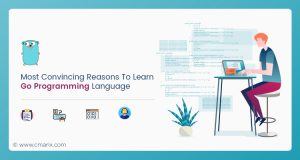 The Best Practices for Learning Go Programming Language